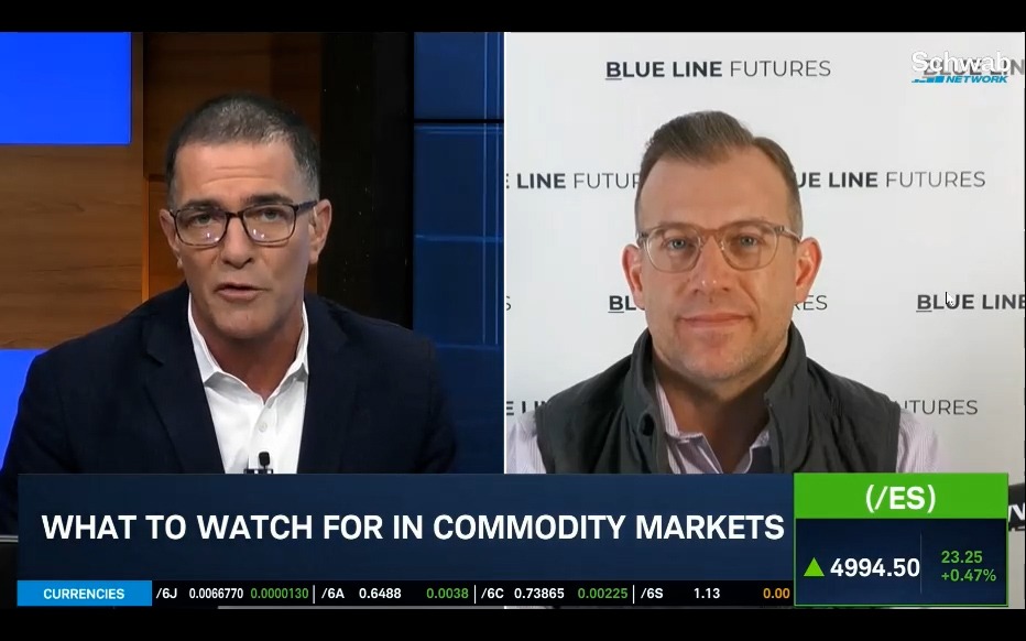 Insights - Blue Line Capital